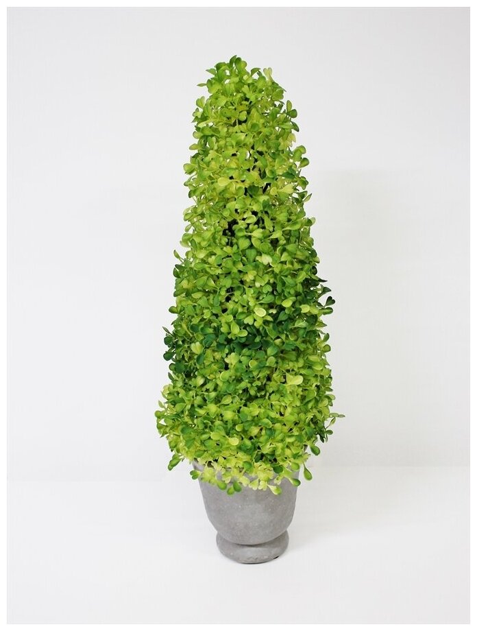 Куст вереска в кашпо 51 см, бренд CONEKO - декор для дома и офиса