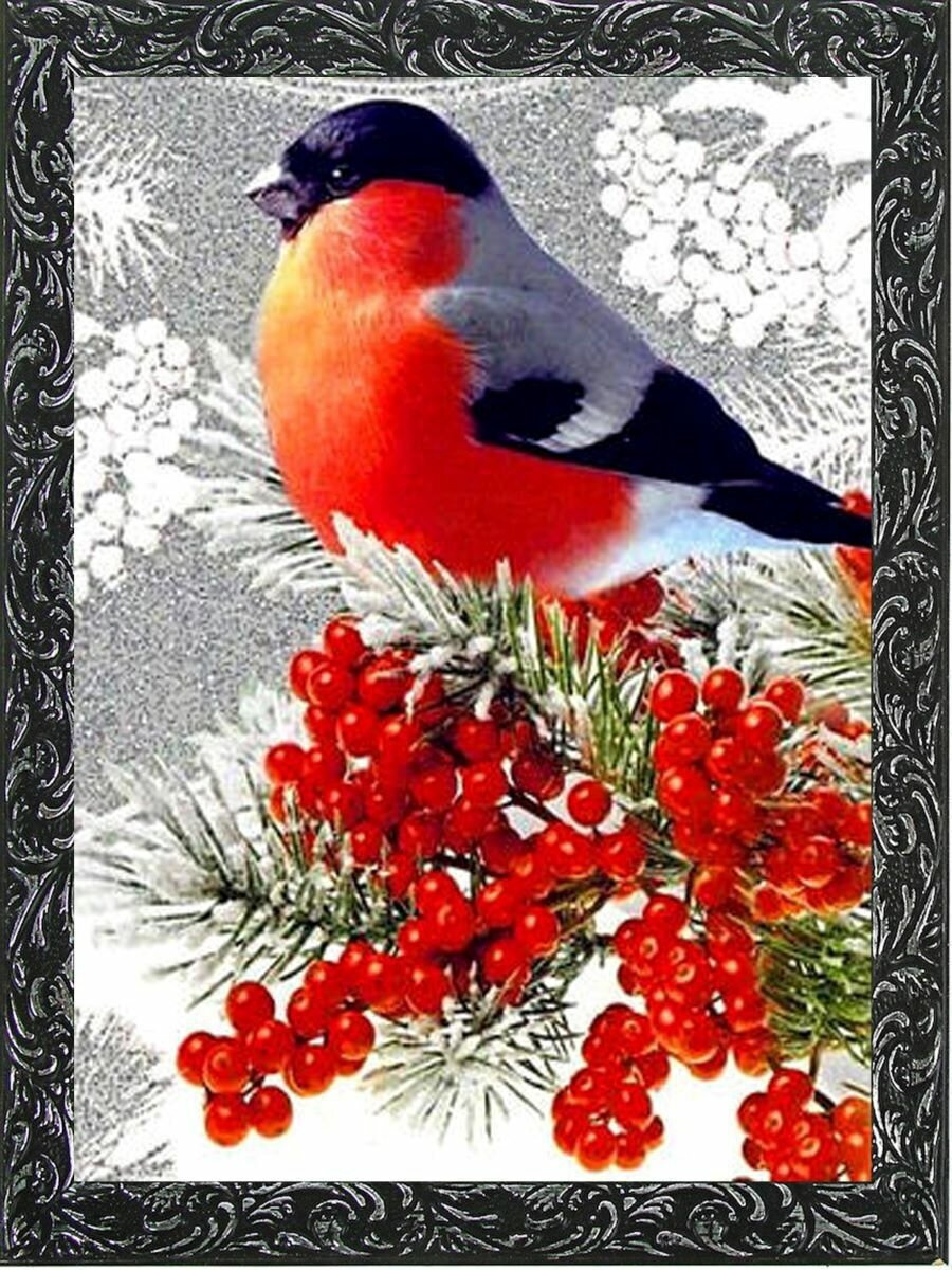 Снегирь 38*48см