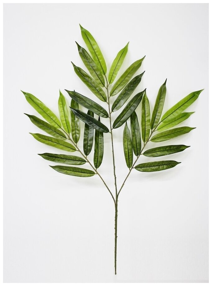 Ветка манго с тонкими листьями искусственная 55 см. (Комплект из 2 шт.), бренд CONEKO - декор для дома и офиса