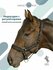 Sweethorse / Недоуздок с регуляторами для лошади, Cob, черный