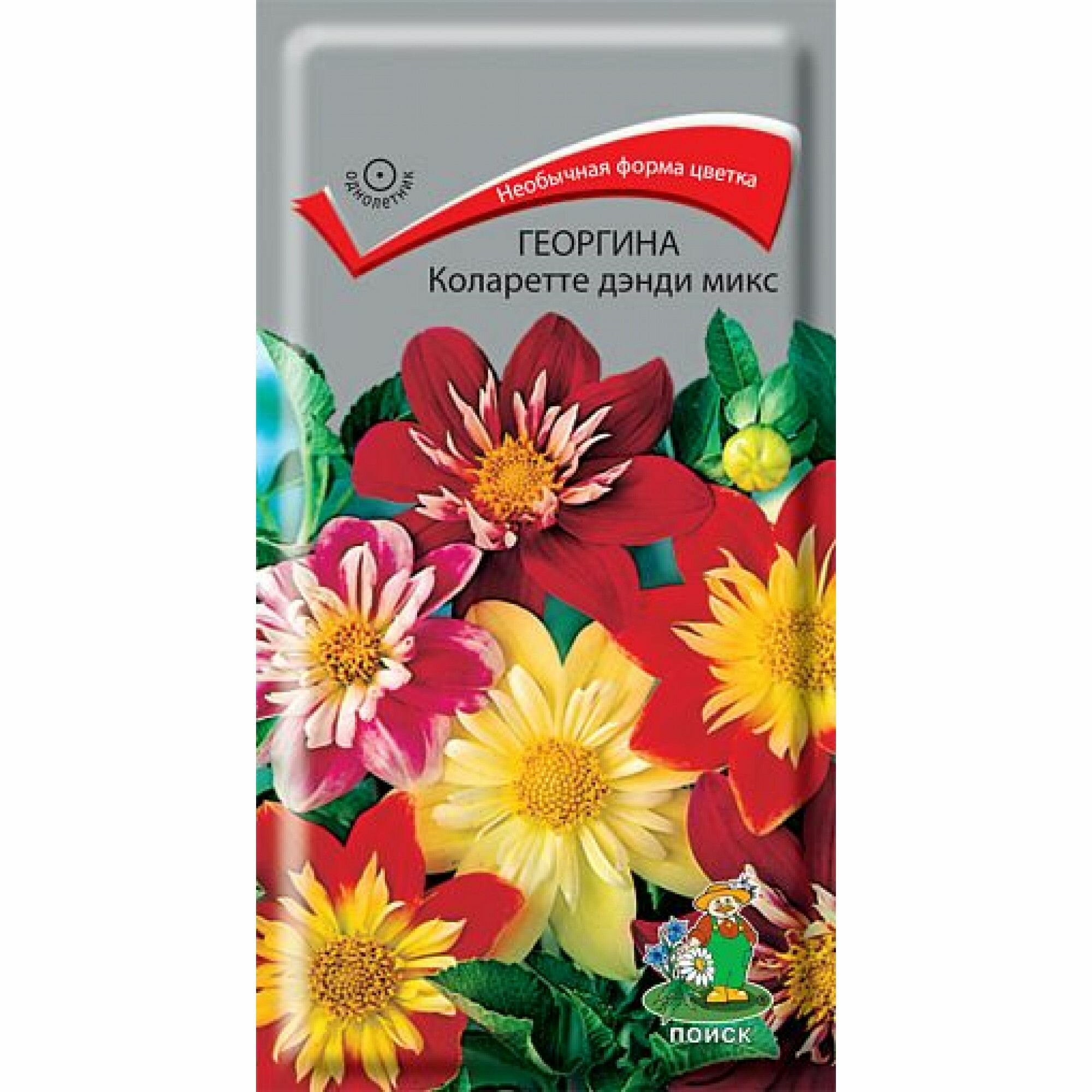 Георгина Коларетта Дэнди, смесь