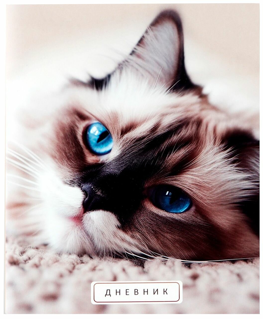 Дневник школьный "1 сентября: Кошка" для 1-11 классов, универсальный дневник для школы, мягкая обложка, для девочки, 40 листов