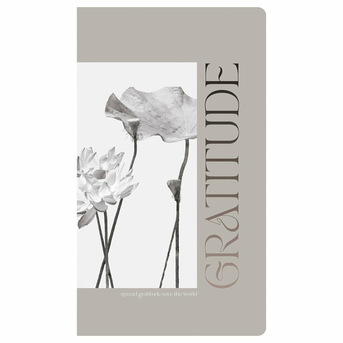 Еженедельник недатированный А6 Greenwich Line "Gratitude" (64 листа) обложка кожзам (WNA6_53272)