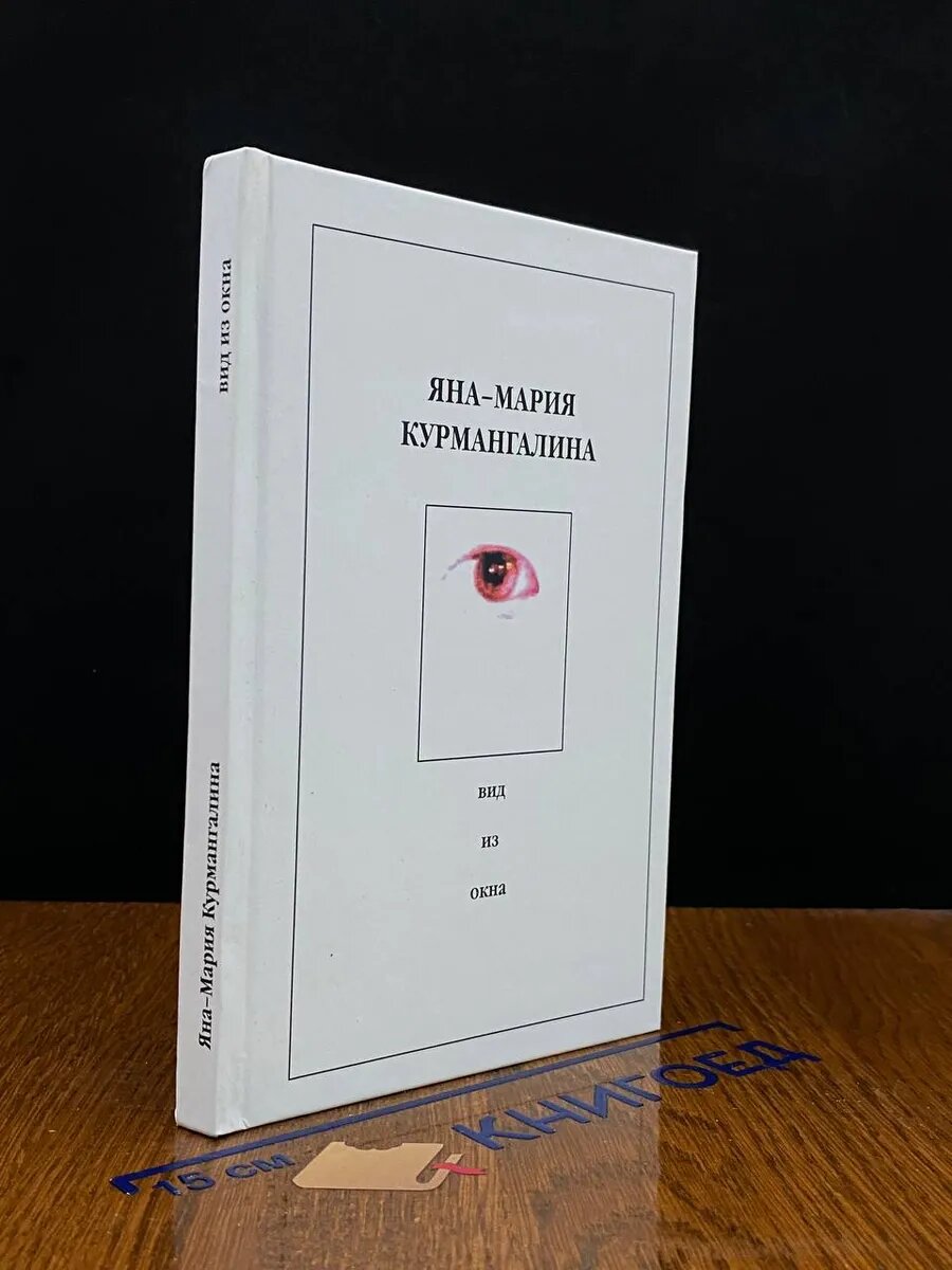 Книга. Вид из окна 2008 (2041146720740)