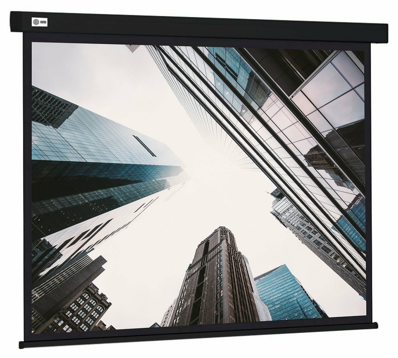 Экран Cactus CS-PSW-124X221-BK 124.5x221см Wallscreen 16:9 настенно-потолочный рулонный черный