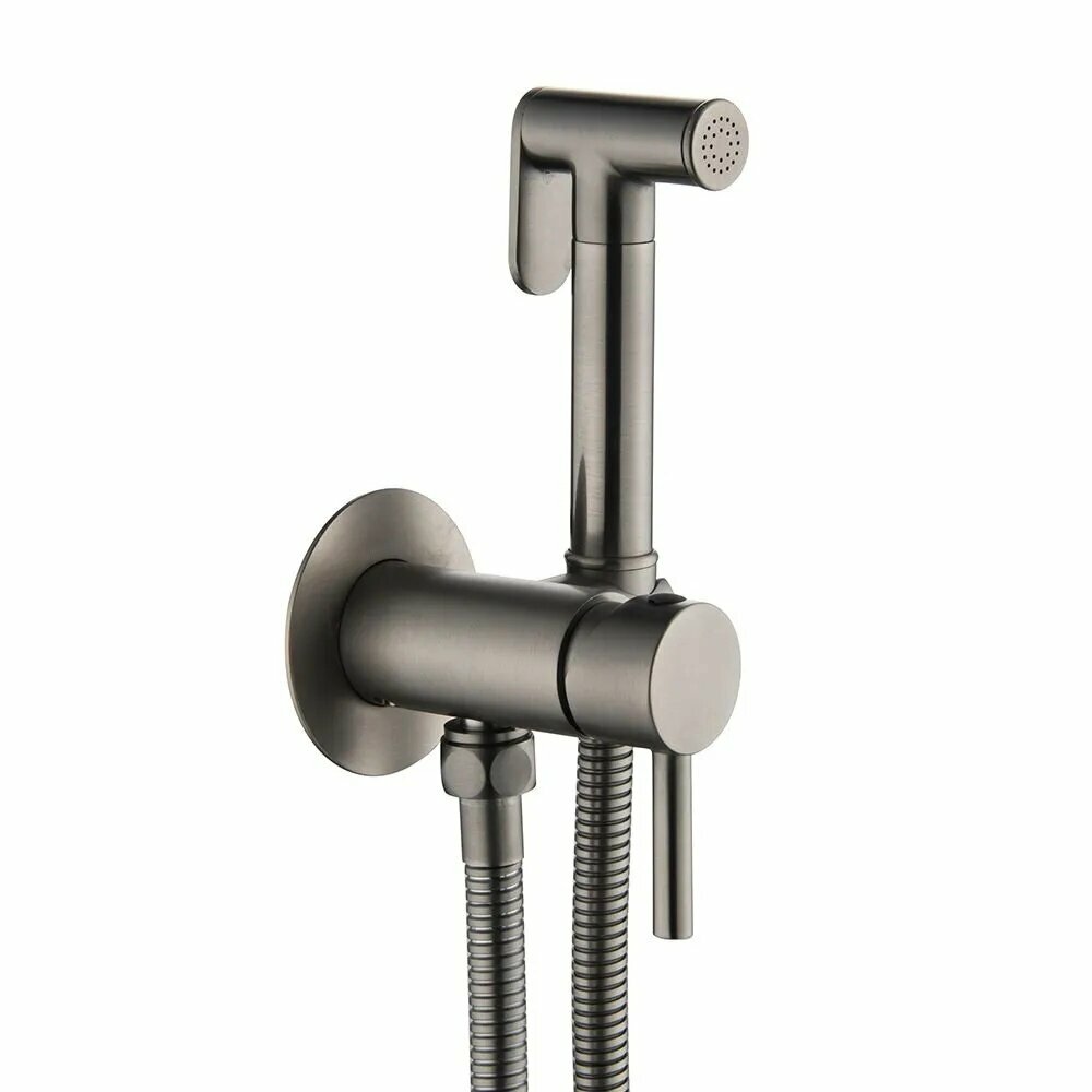 Встраиваемый смеситель для биде с гигиеническим душем, латунь, горячая/холодная вода, серый. E004Q