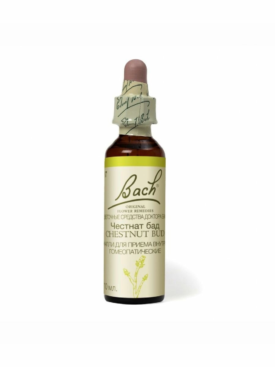 Капли Баха Честнат (Почки конского каштана) №7, капли гомеопатические 10 мл
