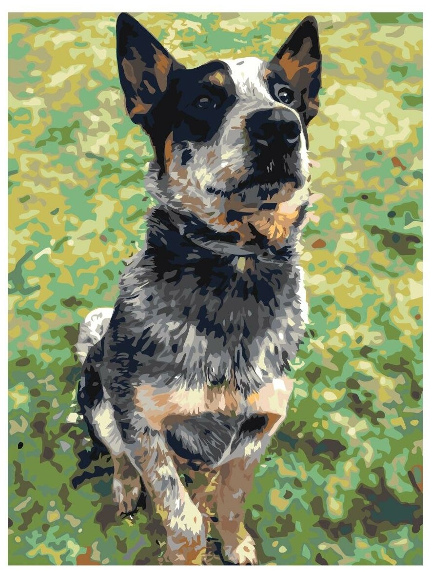 Картина по номерам, "Живопись по номерам", 54 x 72, ets357-2-3040, пёс, щенок, трава, игра, веселье, охота, породистый