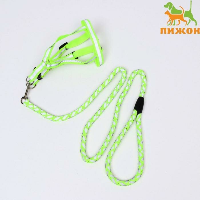 Комплект "Плетенка", флюорисцентный, поводок 115 х 1 см и шлейка 32-48 см, зелёный