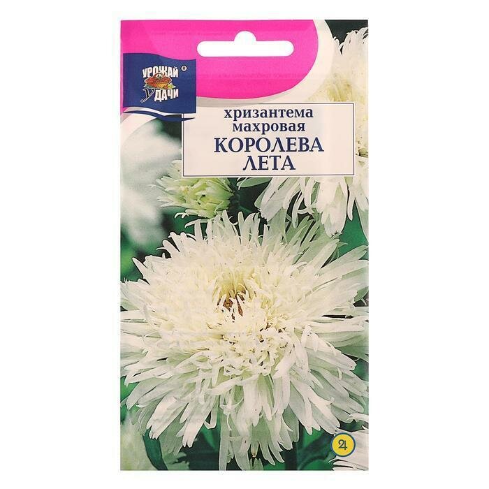 Семена цветов Хризантема многоцветковая 'королева лета', 0,03 г