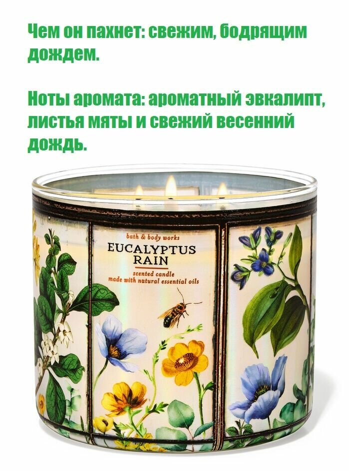Bath and Body Works свеча ароматическая с 3-мя фитилями Eucalyptus Rain