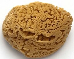 Губка Морская Pavan Натуральная 3120(S0112504) 17-18см.