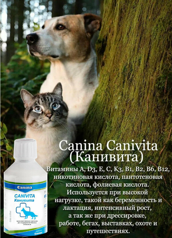 Добавка в корм для собак и кошек Canina Canivita, мультивитаминная эмульсия, 250 мл