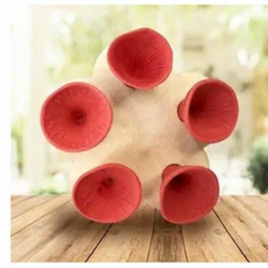 Кормушка для пчел, Цветочная тематика