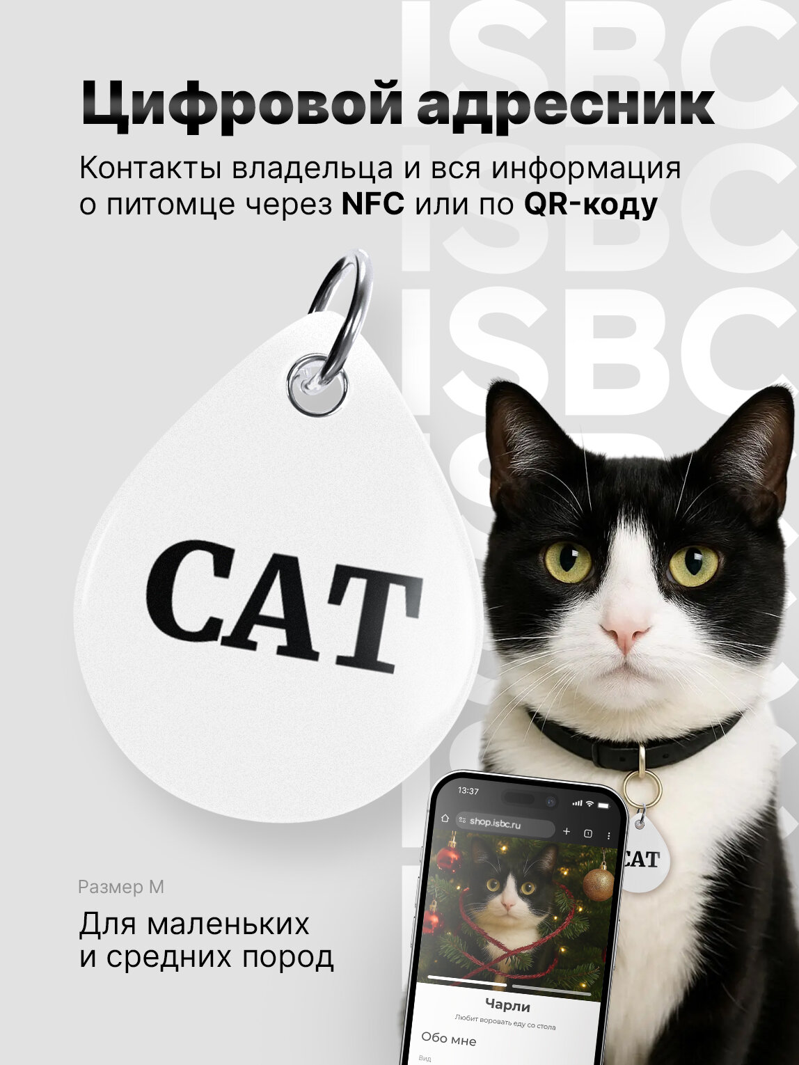 Цифровой Адресник для кошек от ISBC с NFC и QR-кодом, the CAT
