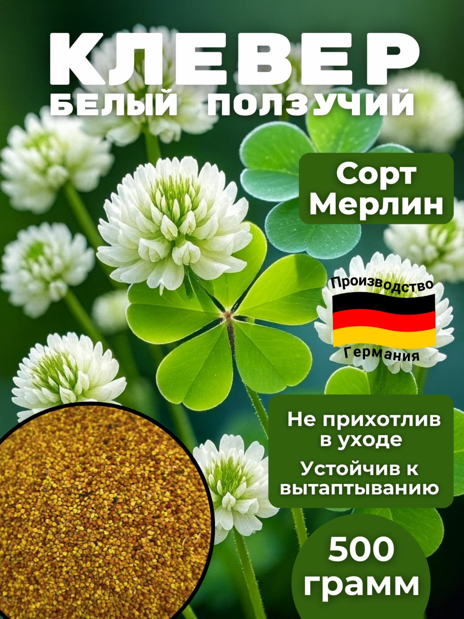 Клевер белый низкорослый ползучий семена 500г