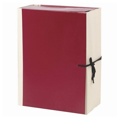 Папка для бумаг архивная А4 (225х310 мм), 120 мм, 4 завязки, бумвинил, корешок - коленкор, 123201 (цена за 1 ед. товара)