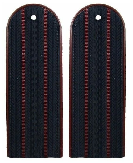 Погоны Фсин повседневные на куртку, два просвета галун, картон 14х5 см