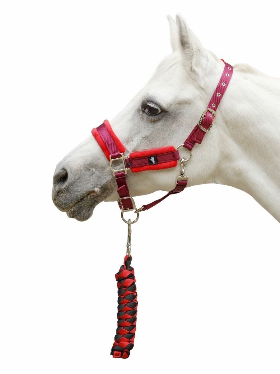 Sweethorse / Сет недоуздок плюс чомбур/FULL