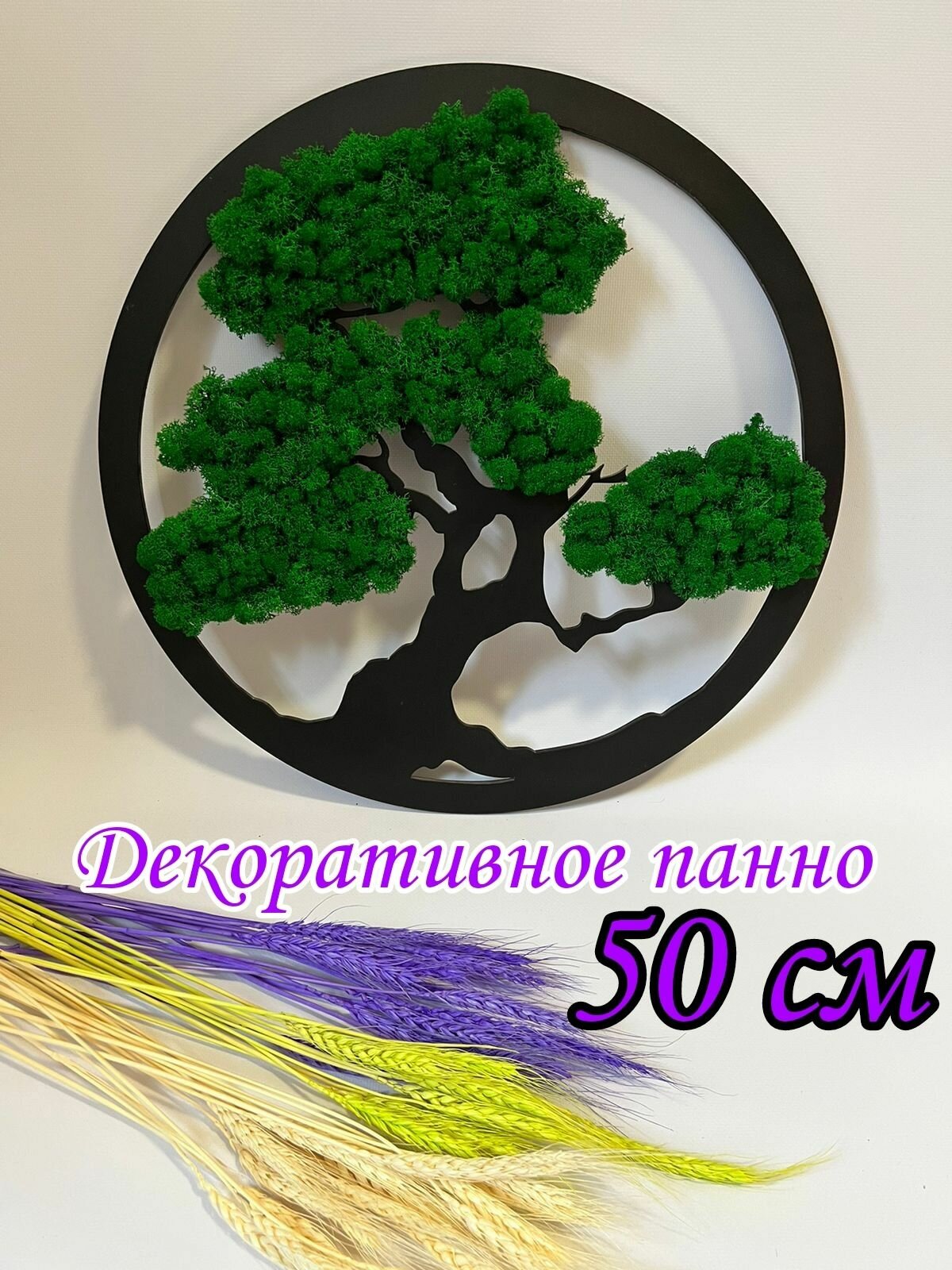 Декоративное панно со стабилизированным мхом"Бонсай"50 см . Картина на стену.