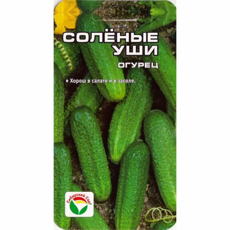 Огурец Соленые уши