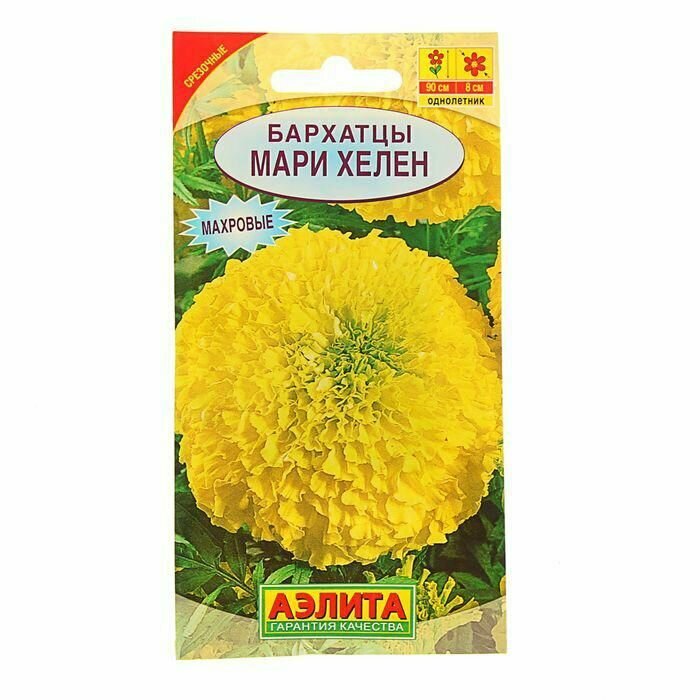 Бархатцы прямостоячие Мари Хелен