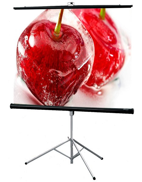 Экран Consul AV (1:1) 40/40" 102*102 XT1000E (MW)