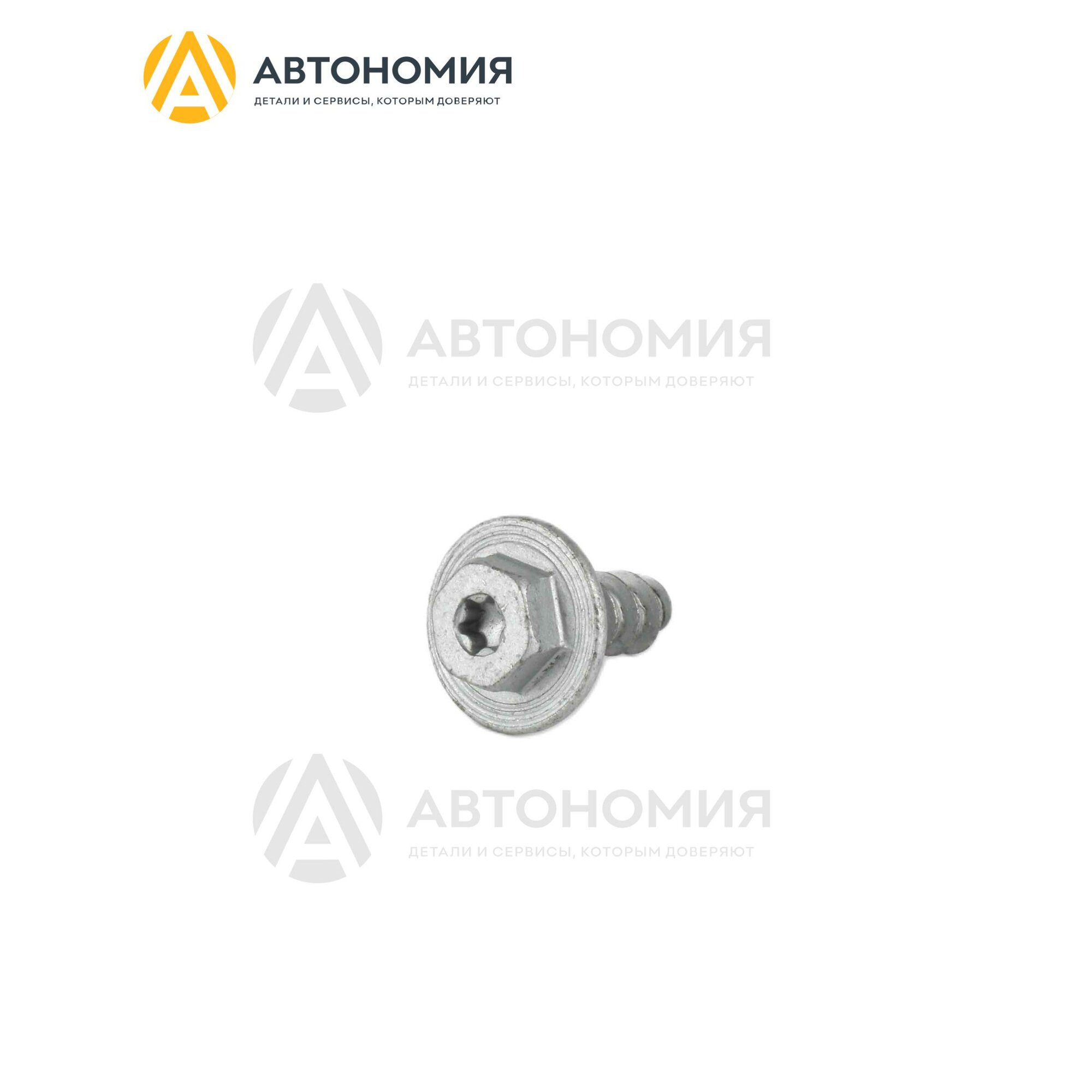 Болт м6 Renault 77 03 017 104