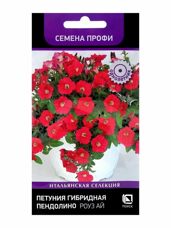 Семена цветов Петуния гибридная Пендолино Роуз Ай , 5 шт, Поиск
