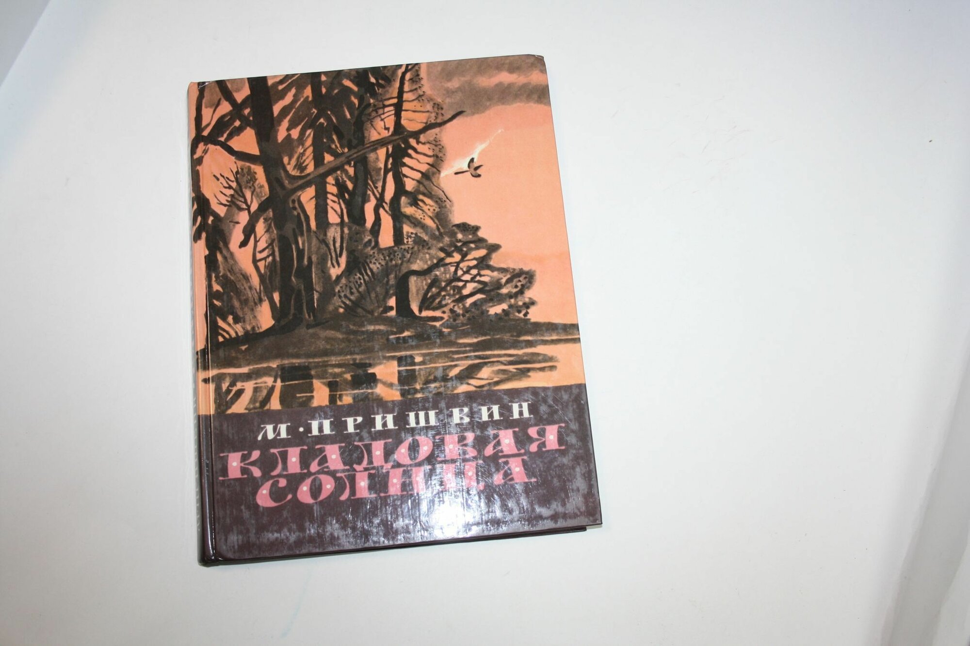 Кладовая солнца. Повесть, рассказы