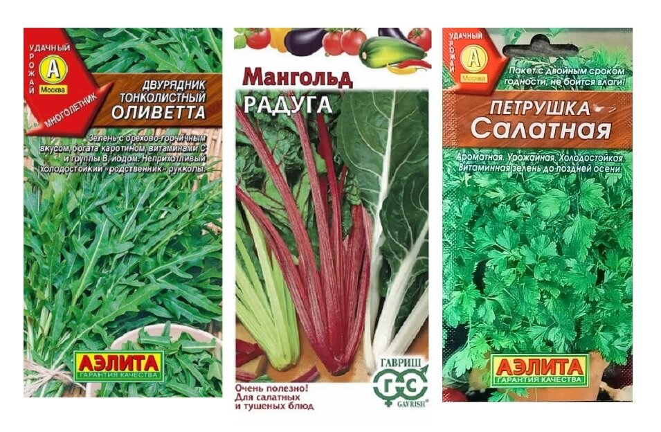 Набор семян зелени Чемпион (Петрушка Салатная, Мангольд Радуга, Двурядник Оливетта)