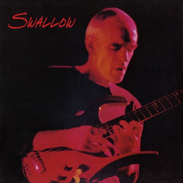 Виниловая пластинка Steve Swallow - Swallow - Vinyl (1 LP)