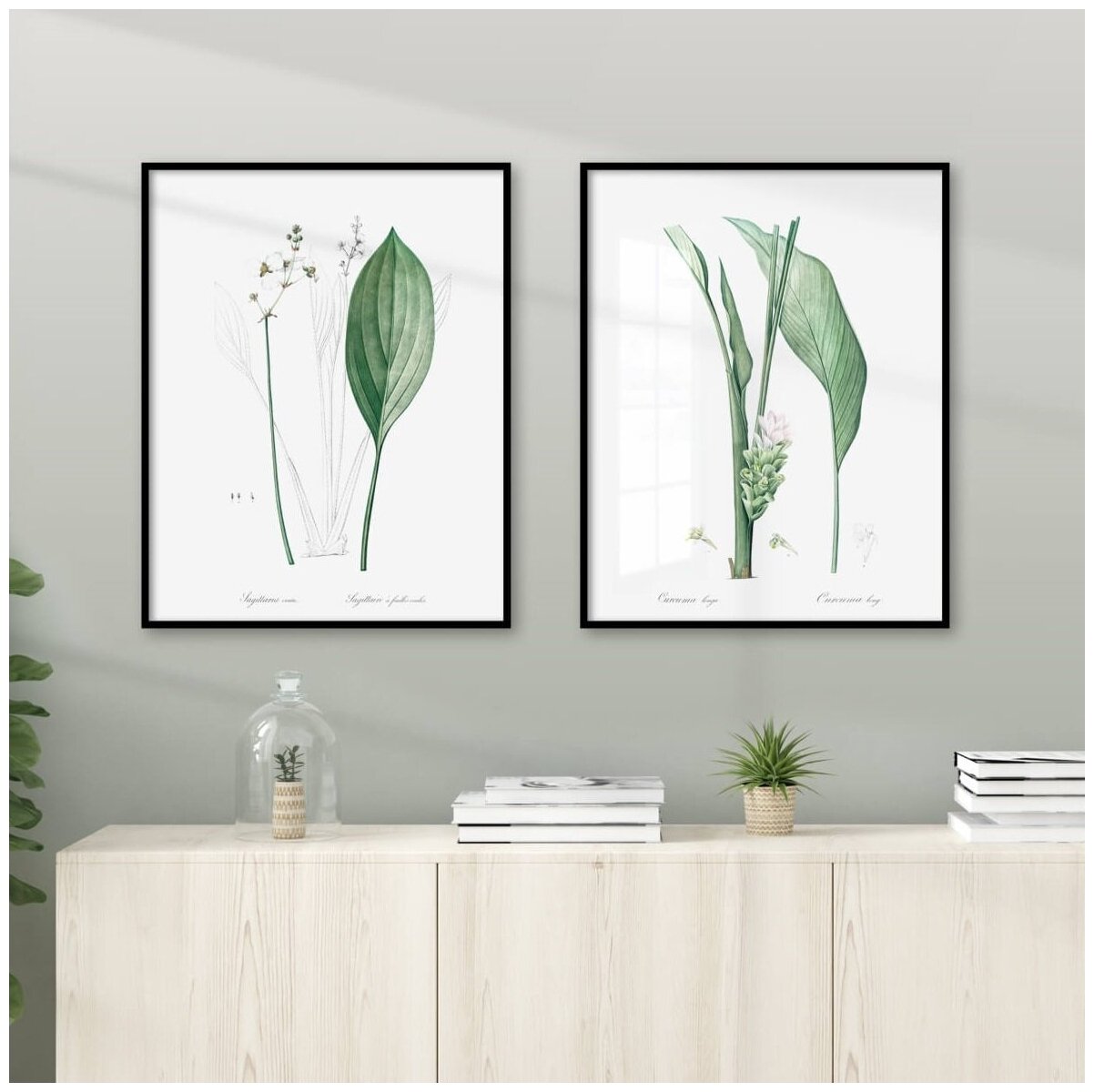 Постер 2 шт 50x70 без рамки "Ландыш, ботаника" набор картин для интерьера