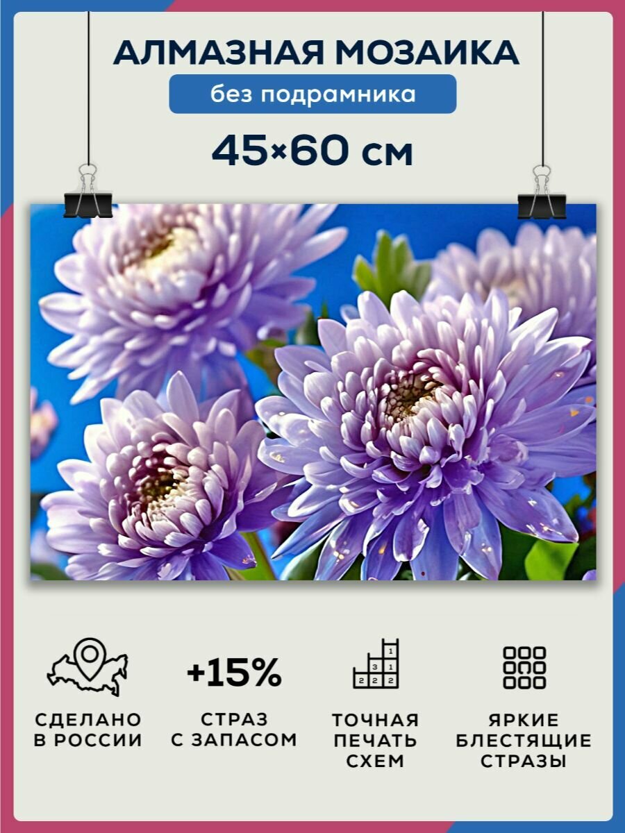 Алмазная мозаика 45x60 Астра летом без подрамника