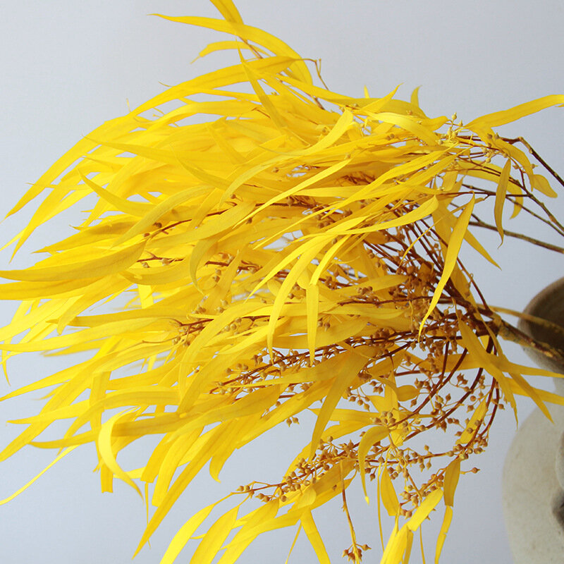 Букет Raffer Quality Dried Flowers, листья эвкалипта, отбеленные, высушенные, 100-120г