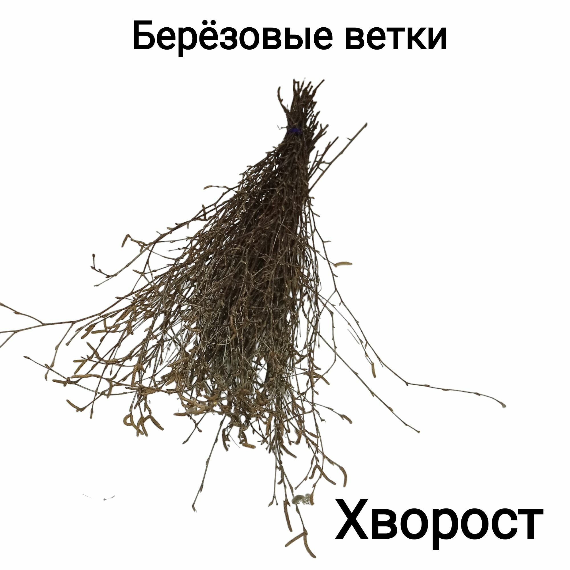 Веточки берёзы. Берёзовый хворост.