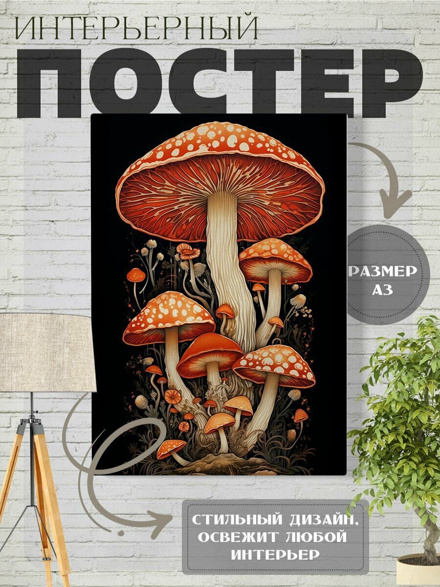 Плакат Постер Сухоцветы, грибы