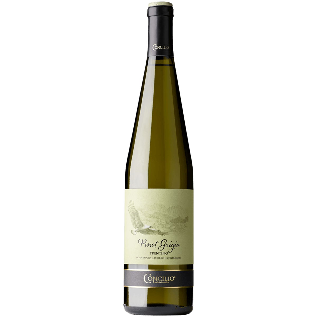 Вино "Concilio" Pinot Grigio, Trentino DOC, белое, сухое, 0,75 л