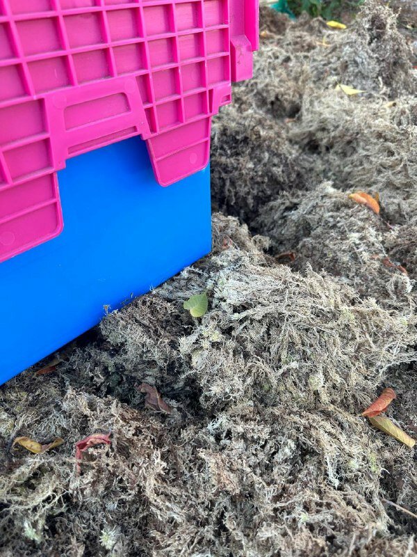 Сфагнум мох 50 л для строительства свежий год Эко качество