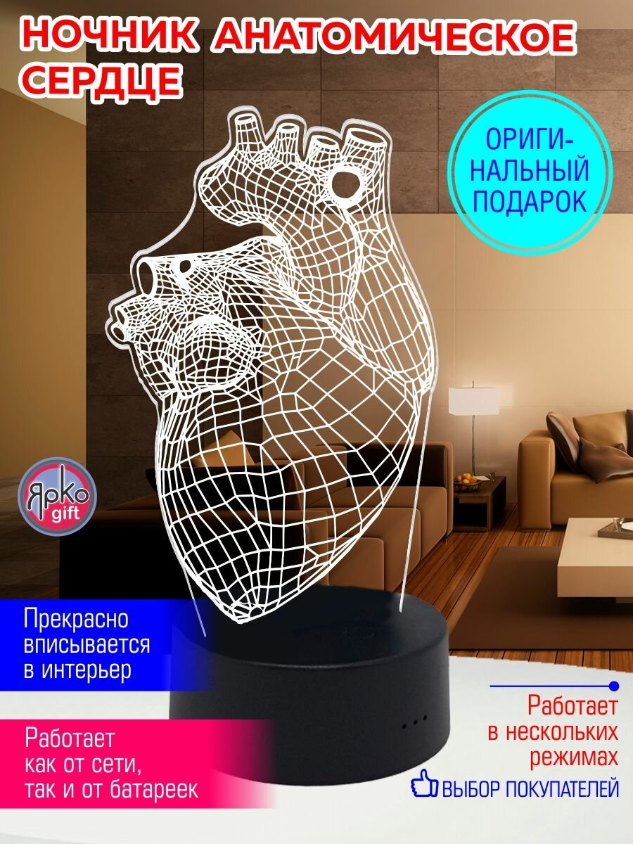 3d ночник светодиодный с принтом анотомическое сердце , светильник для врача