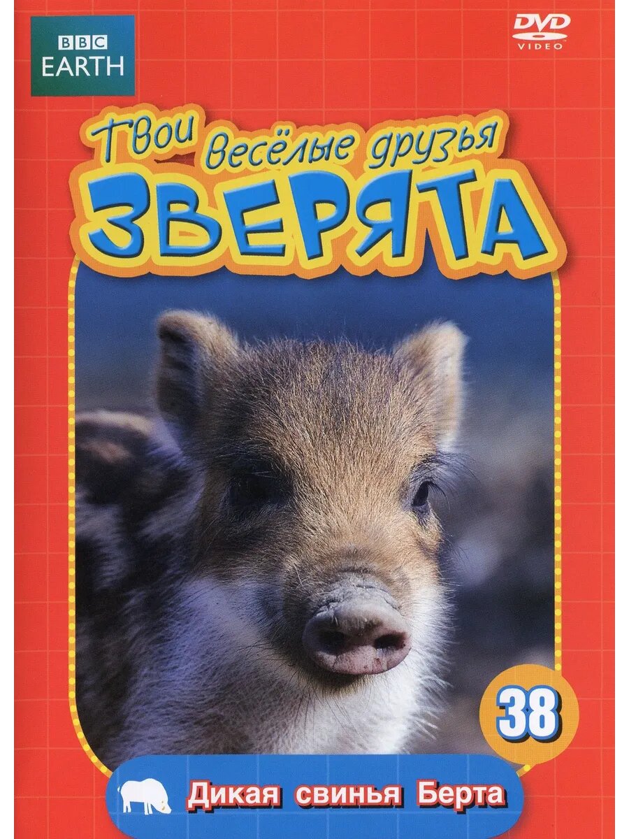 BBC: Твои веселые друзья зверята: Дикая свинья Берта (DVD-R)
