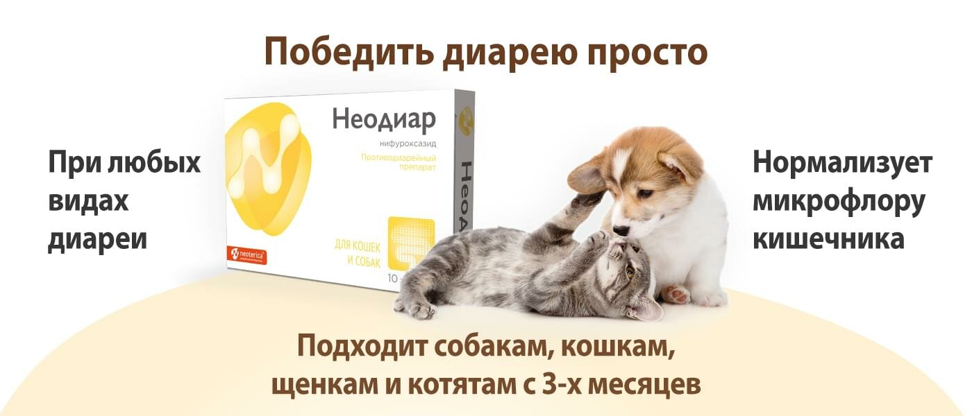 Таблетки Neoterica "Неодиар", для кошек и собак, от диареи, 10 шт. — фото 1