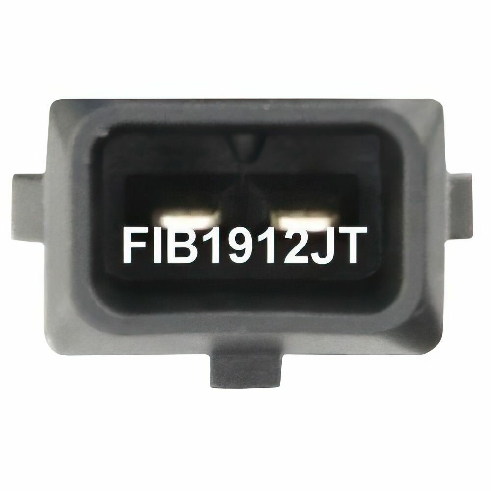 Форсунка топливная бензиновая, для Фольксваген Пассат, Шкода Суперб, Ауди A4 B5, A6 C5 арт FIB1912JT