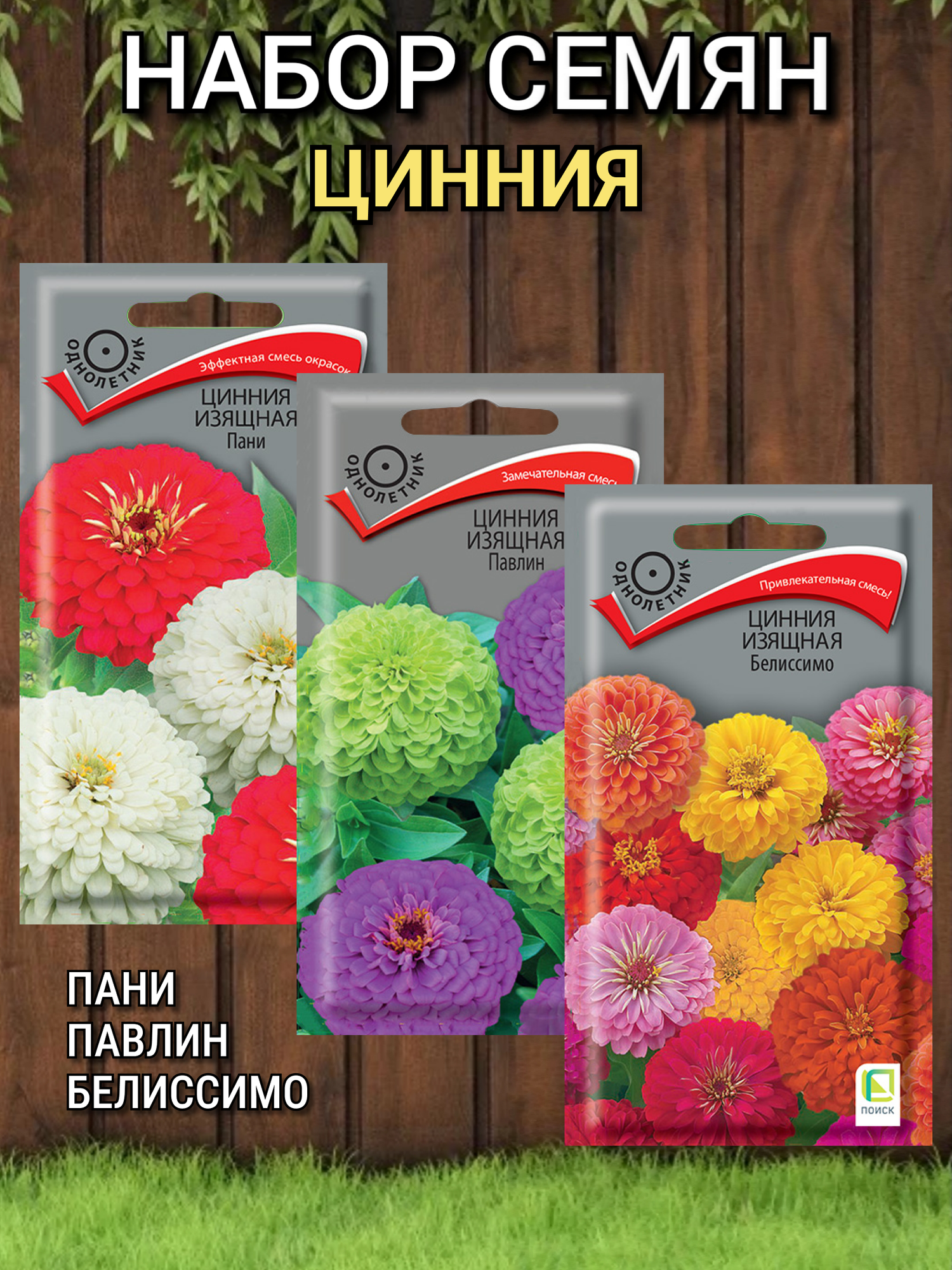 Семена для сада Поиск Цинния Мексика Ольмека, Изящная: Белиссимо, Пани, Павлин