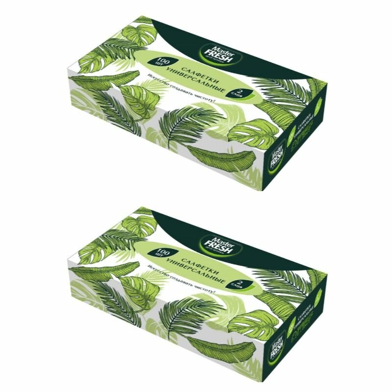Master Fresh Салфетки бумажные в коробочке, 100 шт в уп, 2 уп