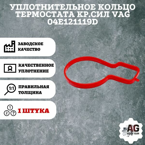Уплотнительное кольцо термостата кр. сил Vag 04E121119D