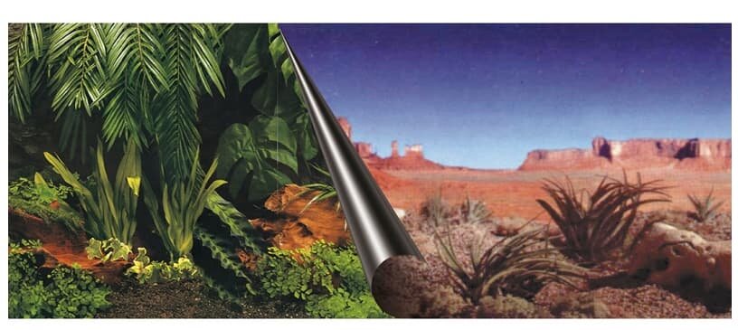 Фон-пленка EBI Jungle & desert, 120×50 см