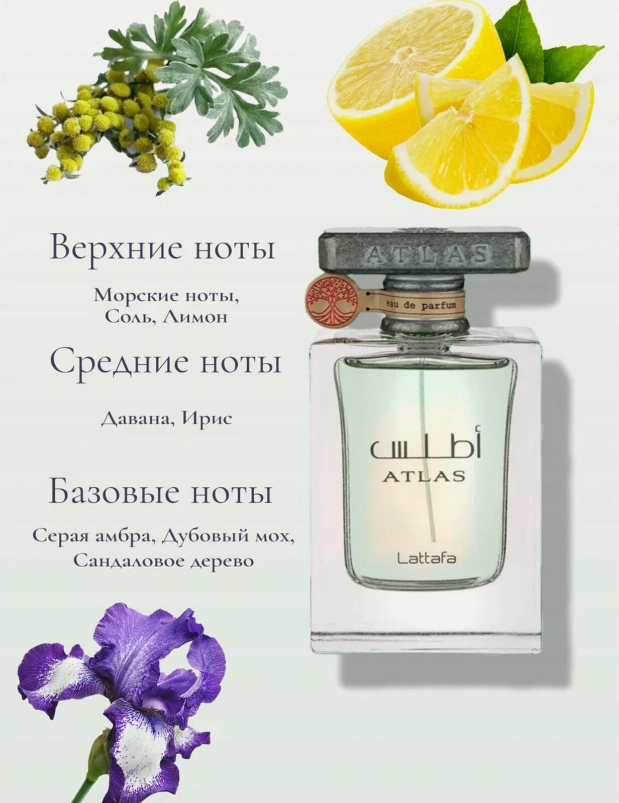 Духи Lattafa "Atlas", восточные, унисекс, перезаправляем флакон, 100 мл