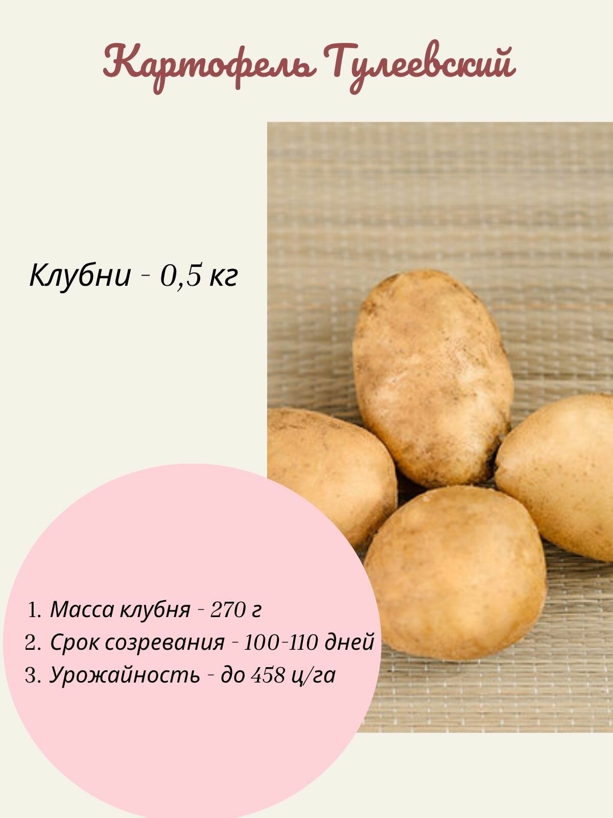 Картофель белый Тулеевский 0,5 кг на посадку