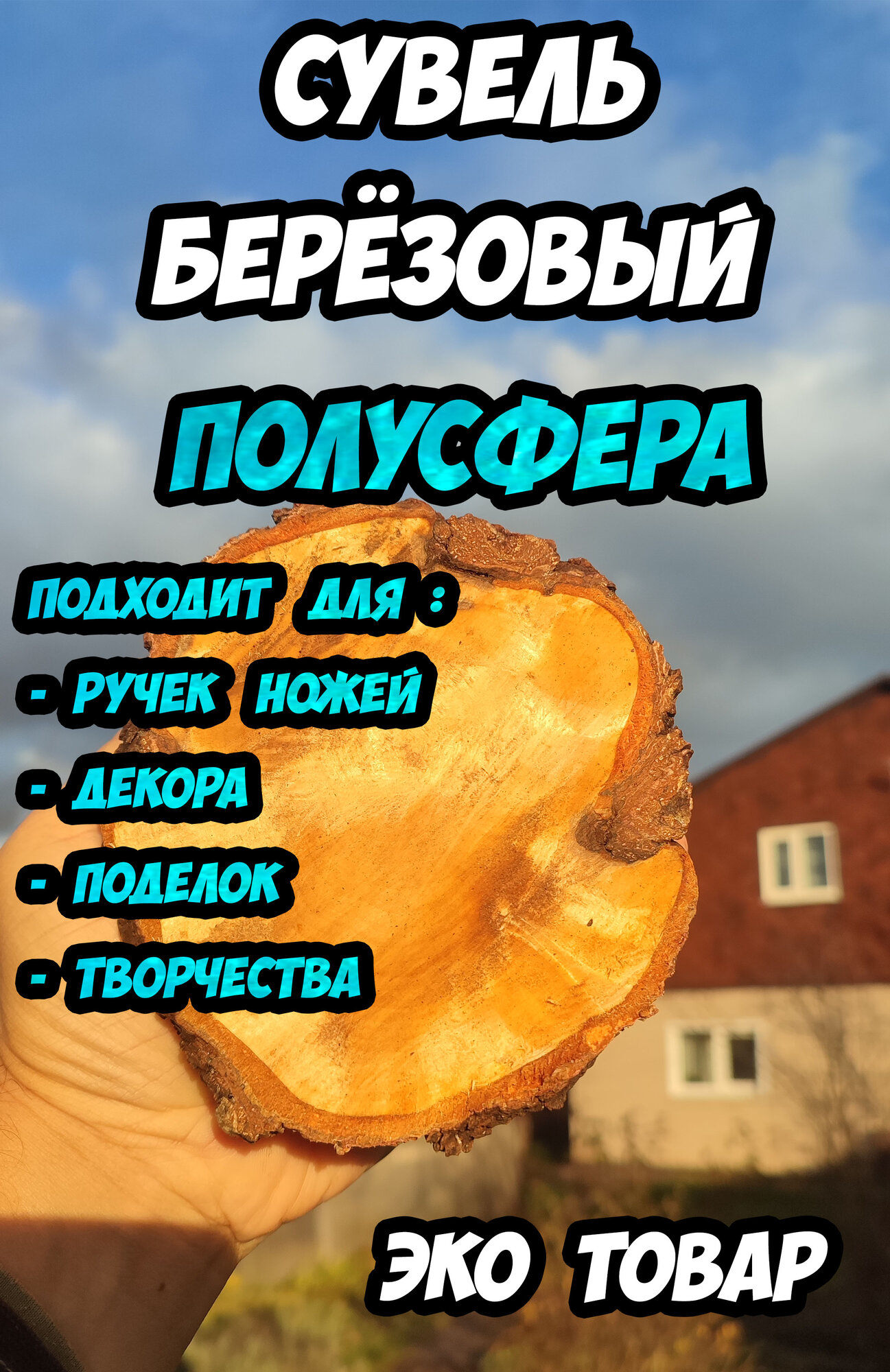 Берёзовый сувель - Полусфера